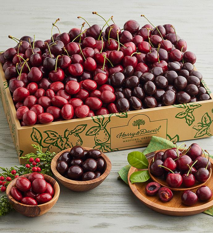 Types of Cherries & Cherry Facts | The Table by Harry & David