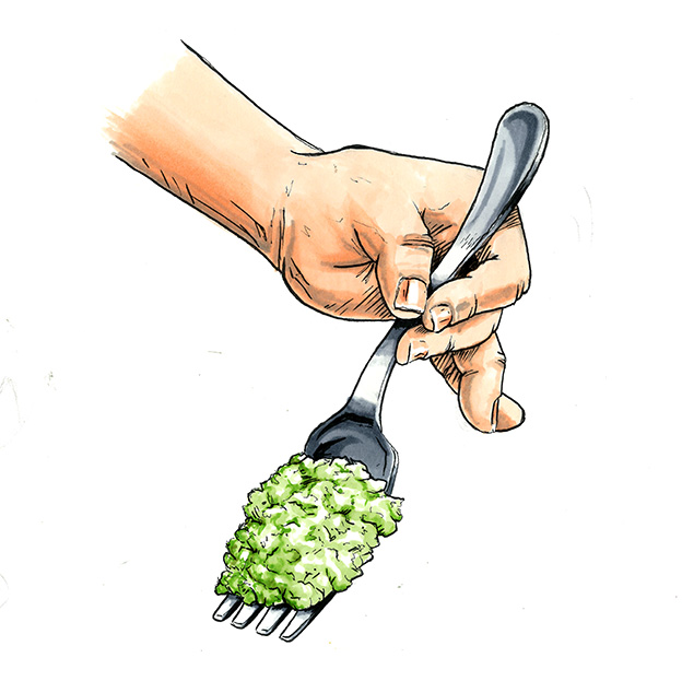 Lobster 101: An Illustrated Guide | Vital Choice