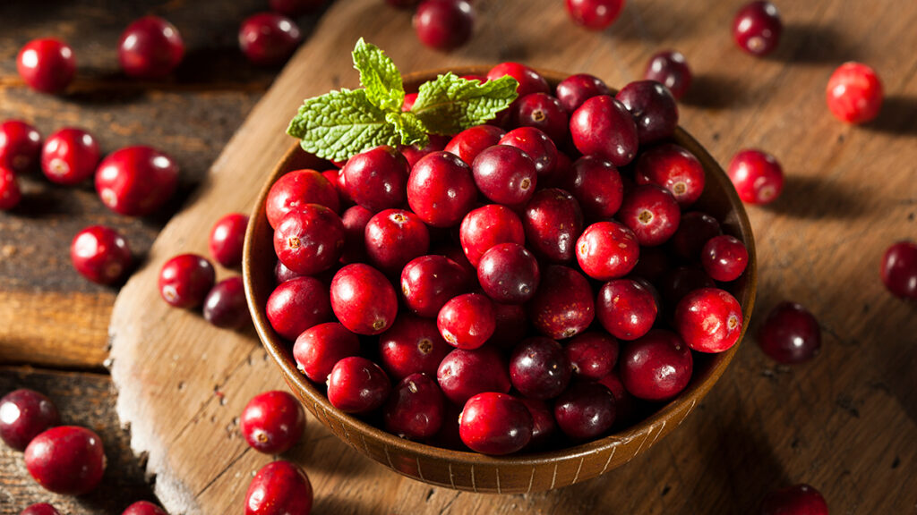 Fun Facts About Cranberries| The Table by Harry & David